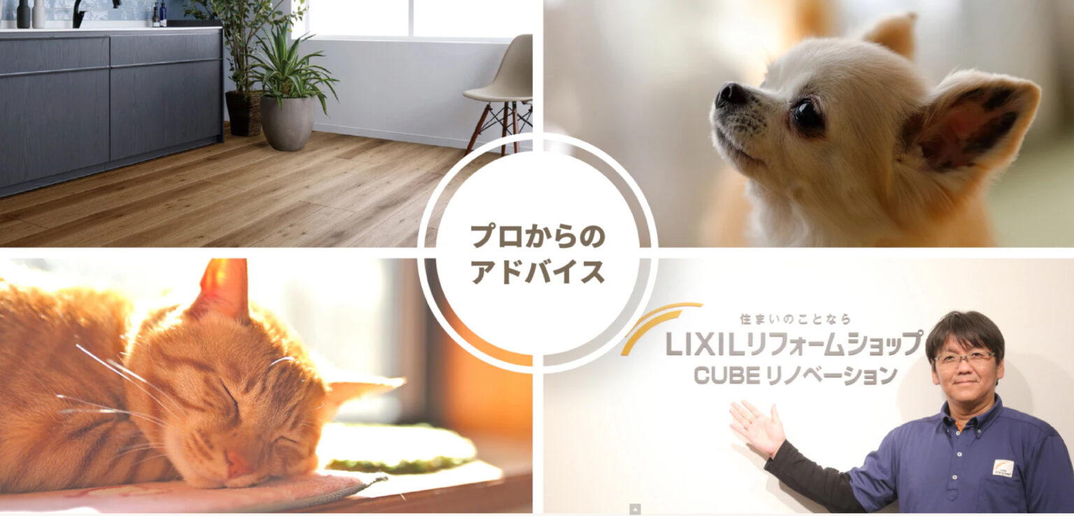 川崎店店長の米倉です🐈 | LIXILリフォームショップCUBEリノベーション